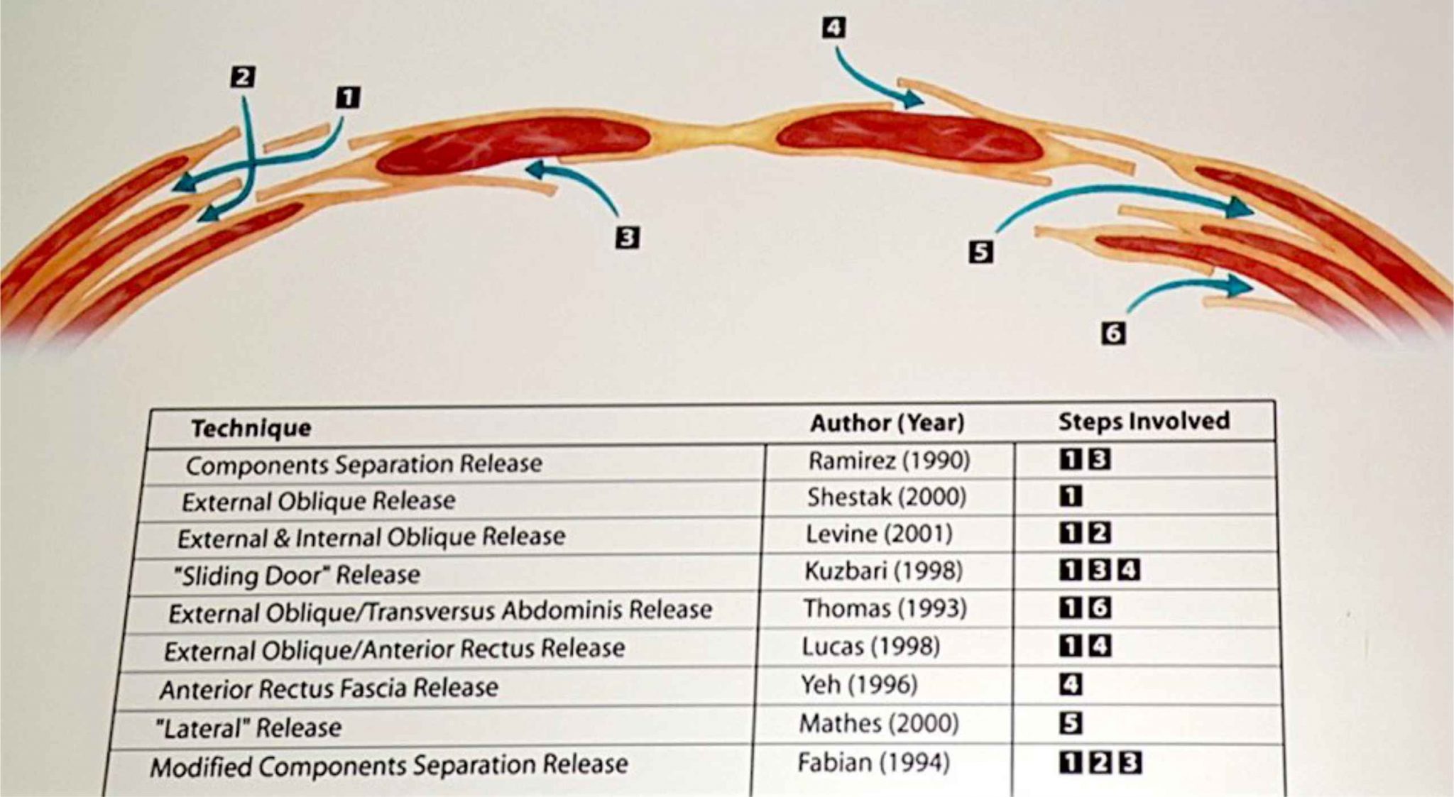 TOTAL BODY-LIFT – zlatkovlajcic